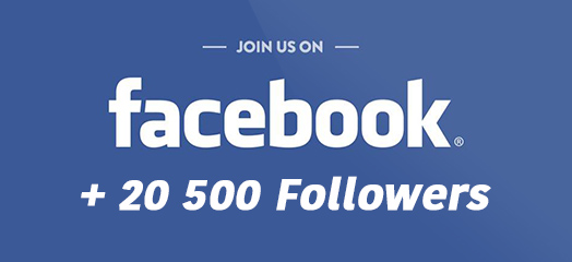 License - Thefancydeal