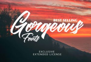 Best Selling Gorgeous Fonts - Thefancydeal